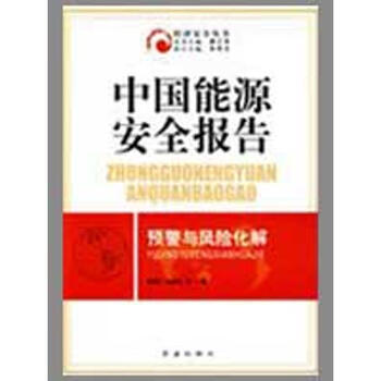 中国能源安全报告—预警与风险化解