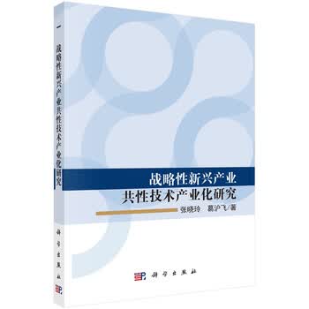 战略性新兴产业共性技术产业化研究