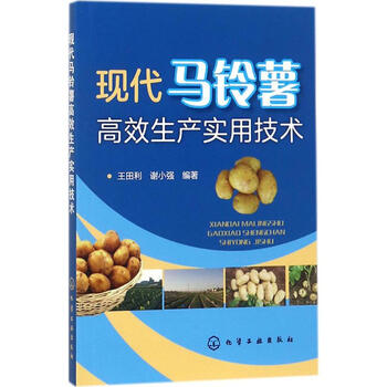 现代马铃薯高效生产实用技术