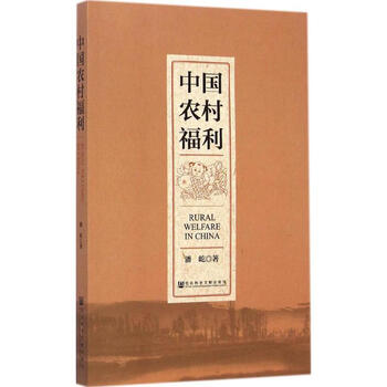 中国农村福利