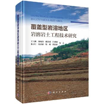 覆盖型岩溶地区岩溶岩土工程技术研究