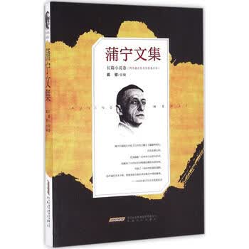 蒲宁文集长篇小说卷
