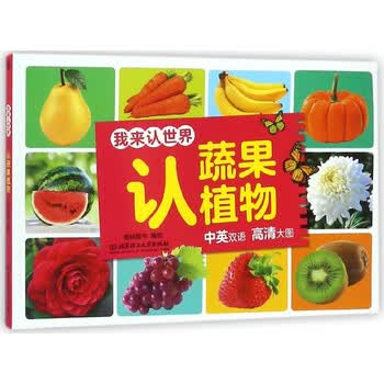 认蔬果植物/我来认世界
