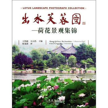 出水芙蓉