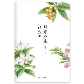 原来乔木这么美