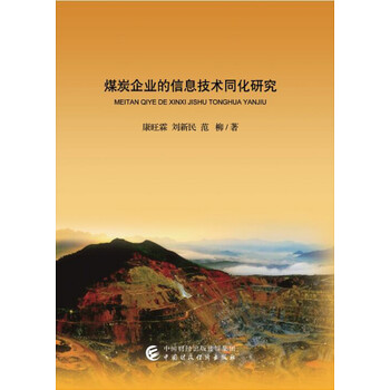 煤炭企业的信息技术同化研究