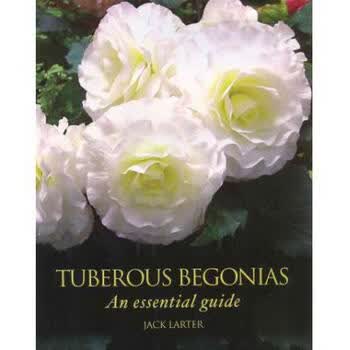 Tuberous Begonias: An Essential Guide