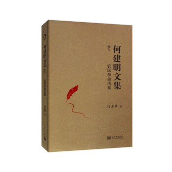 何建明文集（30卷）卷九：农民革命风暴
