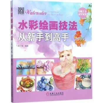 水彩绘画技法从新手到高手