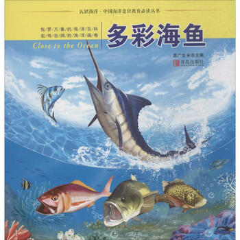 多彩海鱼 幼儿图书 早教书 故事书 儿童书籍
