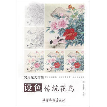 设色传统花鸟
