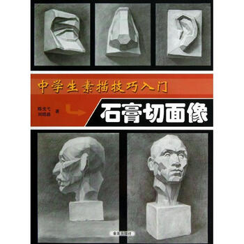 石膏切面像