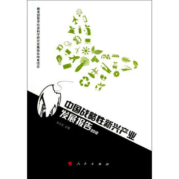 中国战略性新兴产业发展报告