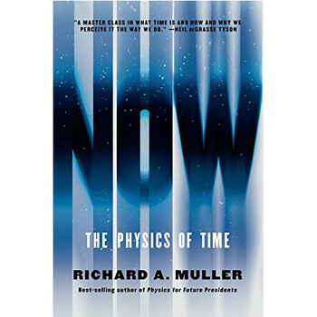 现在：时间的物理学 英文原版 Now: The Physics of Time