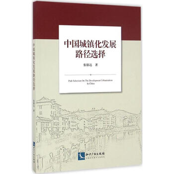 中国城镇化发展路径选择