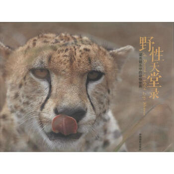 野性天堂录