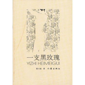 一支黑玫瑰 小说 书籍