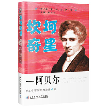 数学家传奇丛书：坎坷奇星——阿贝尔