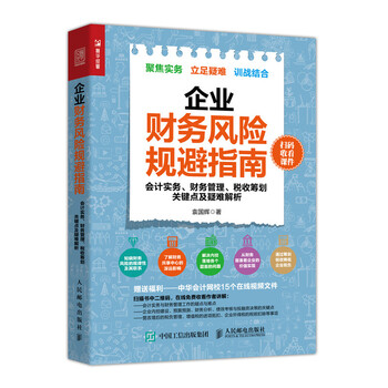 企业财务风险规避指南 会计实务 财务管理 税收筹划关键点及疑难解析（人邮普华出品）