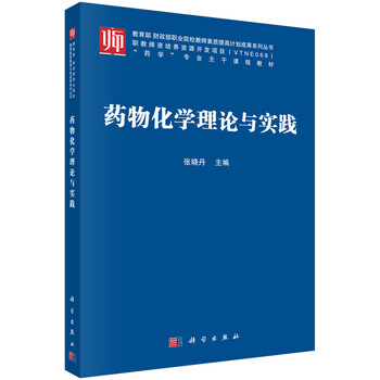 药物化学理论与实践