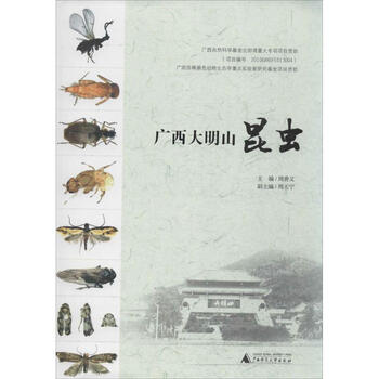广西大明山昆虫