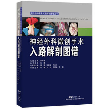神经外科微创手术入路解剖图谱