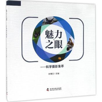 魅力之眼