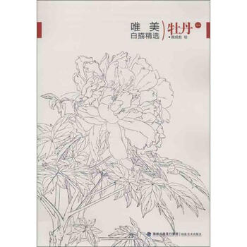 唯美白描精选(1)牡丹