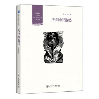 先锋的魅惑
