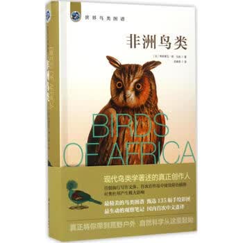 非洲鸟类
