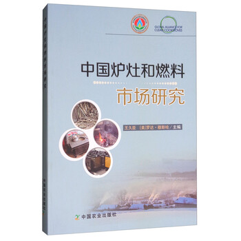 中国炉灶和燃料市场研究