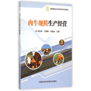 肉牛规模生产经营