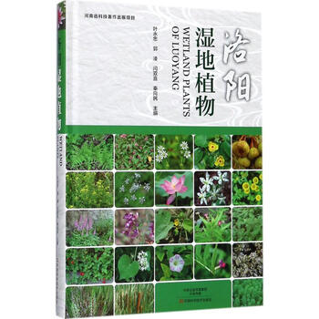 洛阳湿地植物