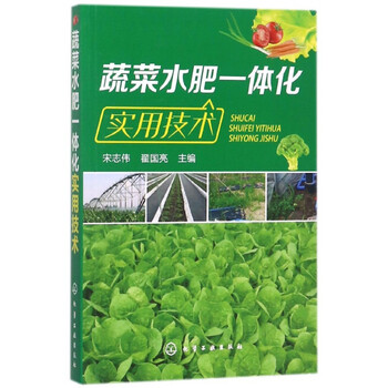 蔬菜水肥一体化实用技术