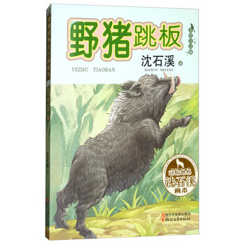 野猪跳板（动物世界沈石溪画本 美绘注音版）