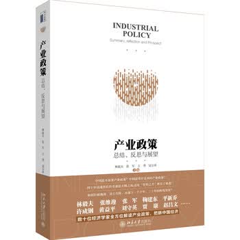 产业政策 总结、反思与展望