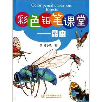 彩色铅笔课堂