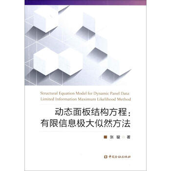 动态面板结构方程