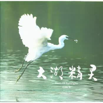 大湖精灵