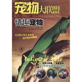 情趣宠物
