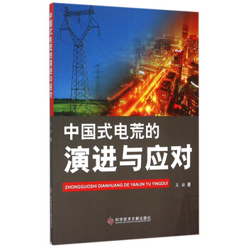 中国式电荒的演进与应对