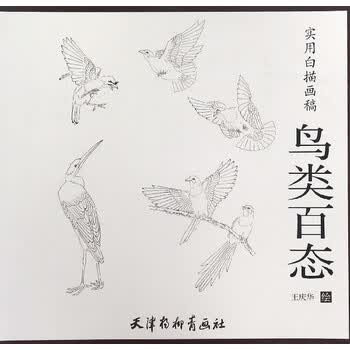 鸟类百态(实用白描画稿)