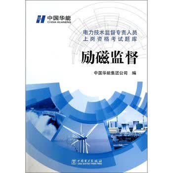 励磁监督