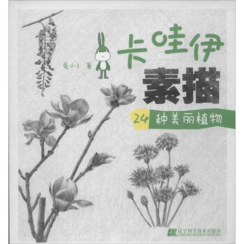 卡哇伊素描24种美丽植物