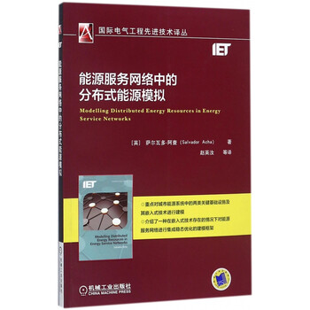 能源服务网络中的分布式能源模拟