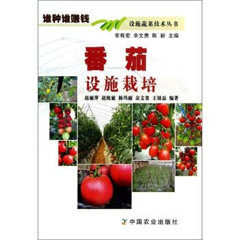 番茄设施栽培