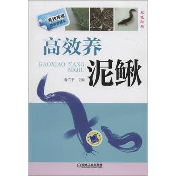 高效养泥鳅(17)