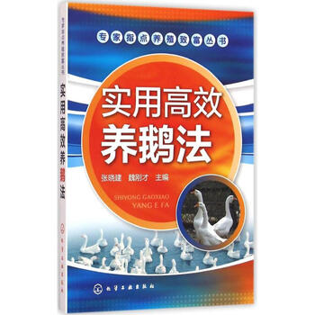 实用高效养鹅法