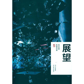 艺术中国年度艺术家5展望