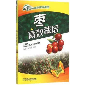 枣高效栽培